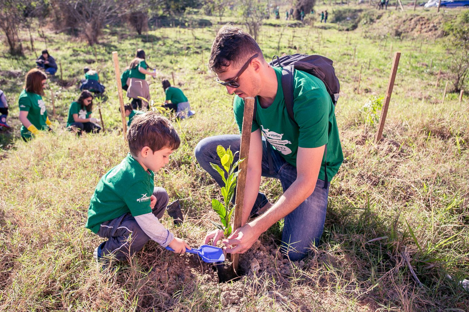 About DC Logistics Brasil — DC Logistics Brasil